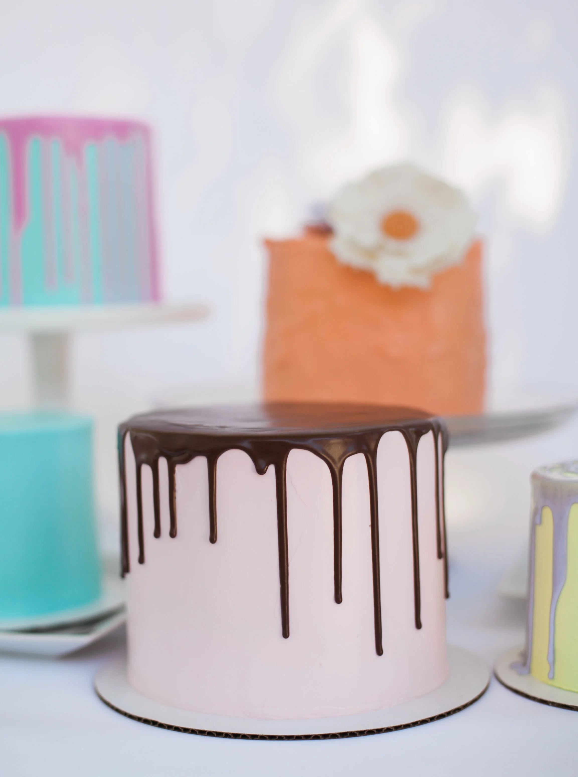 Celebration Cakes — Paige's Bakehouse