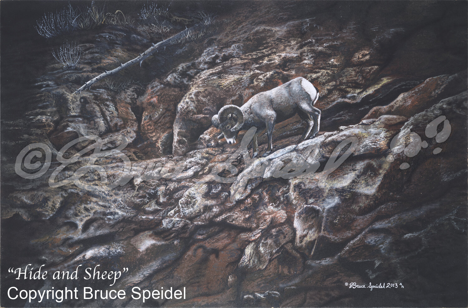 Originals — Bruce Speidel Art