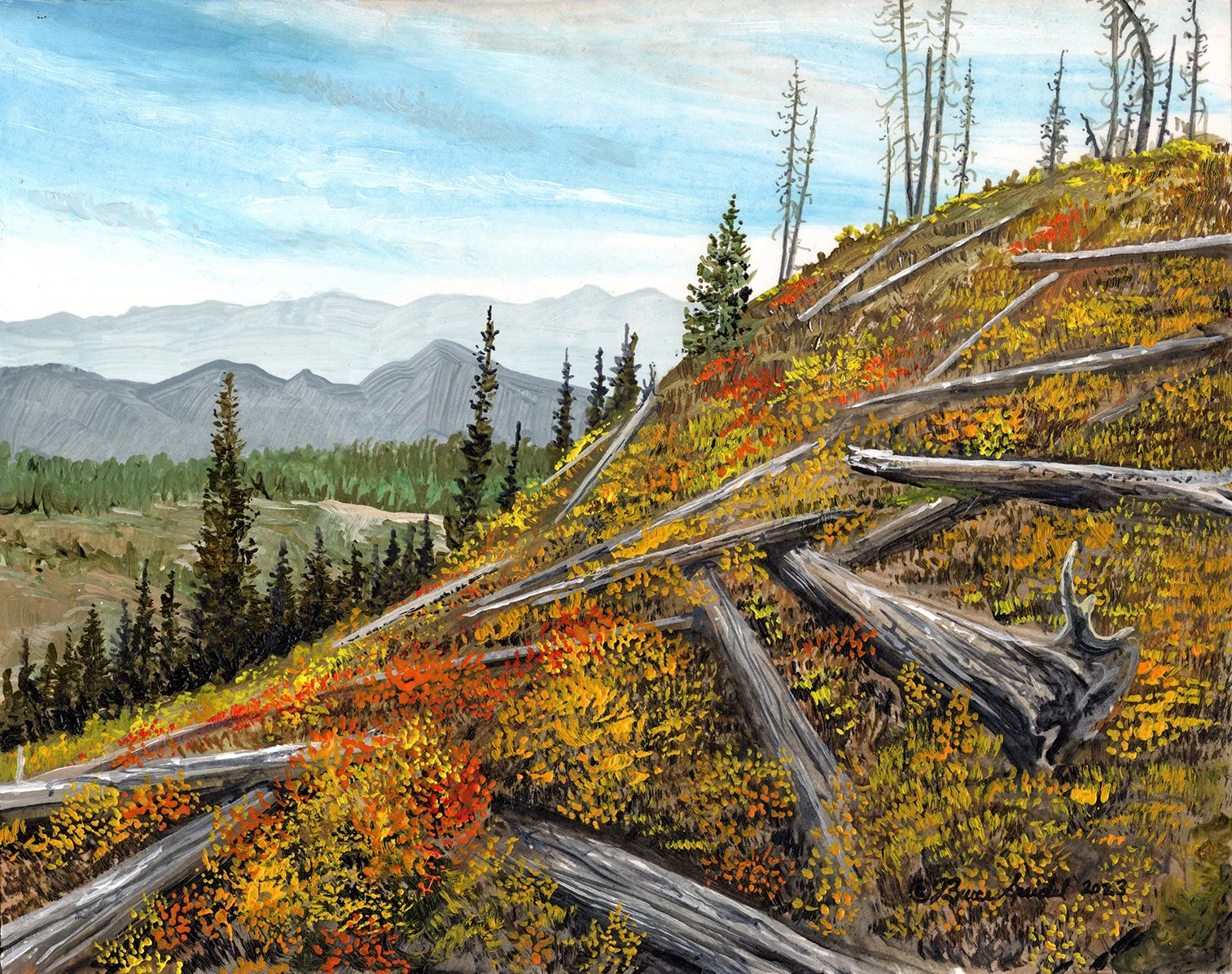 Originals — Bruce Speidel Art