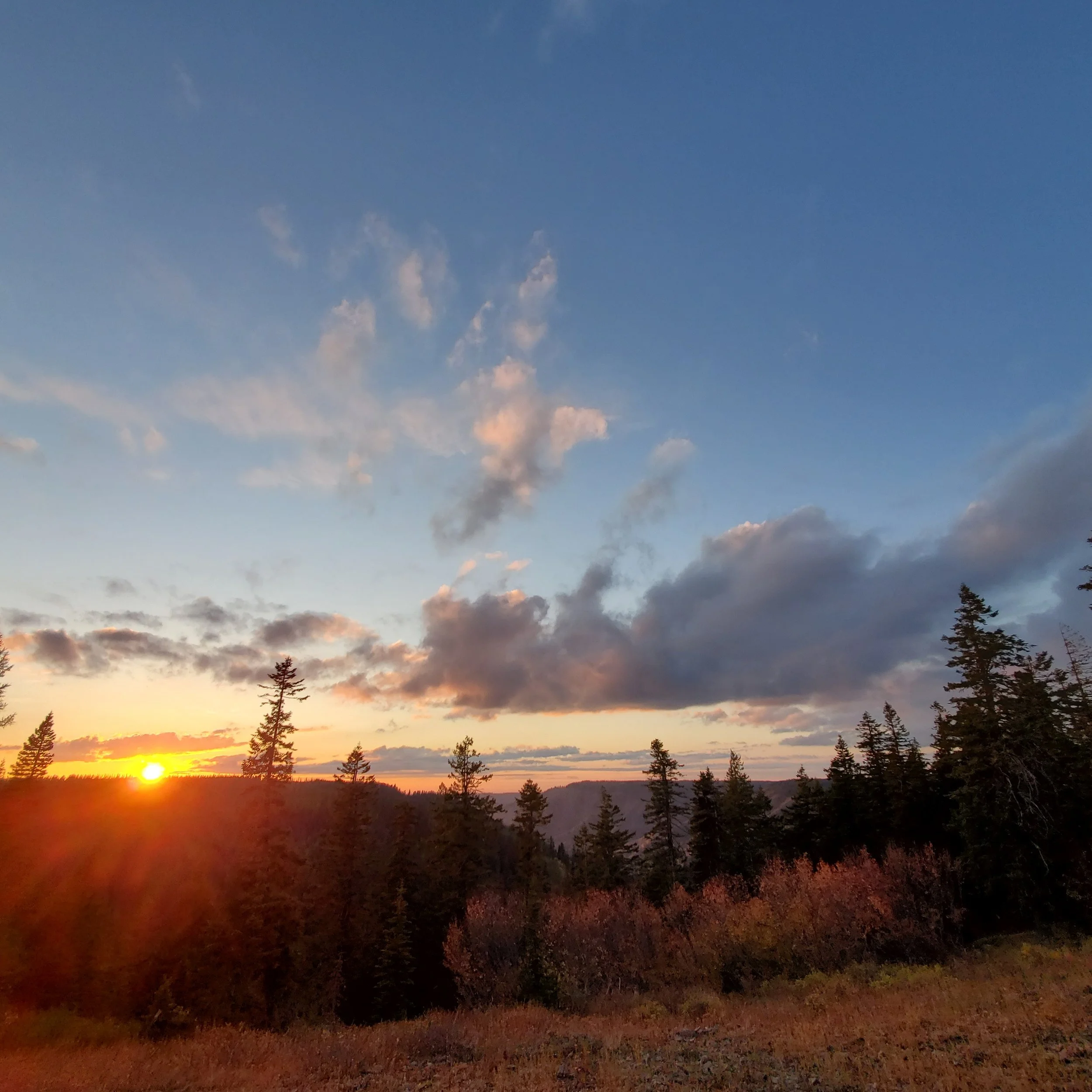 Powelson Law Office LLC