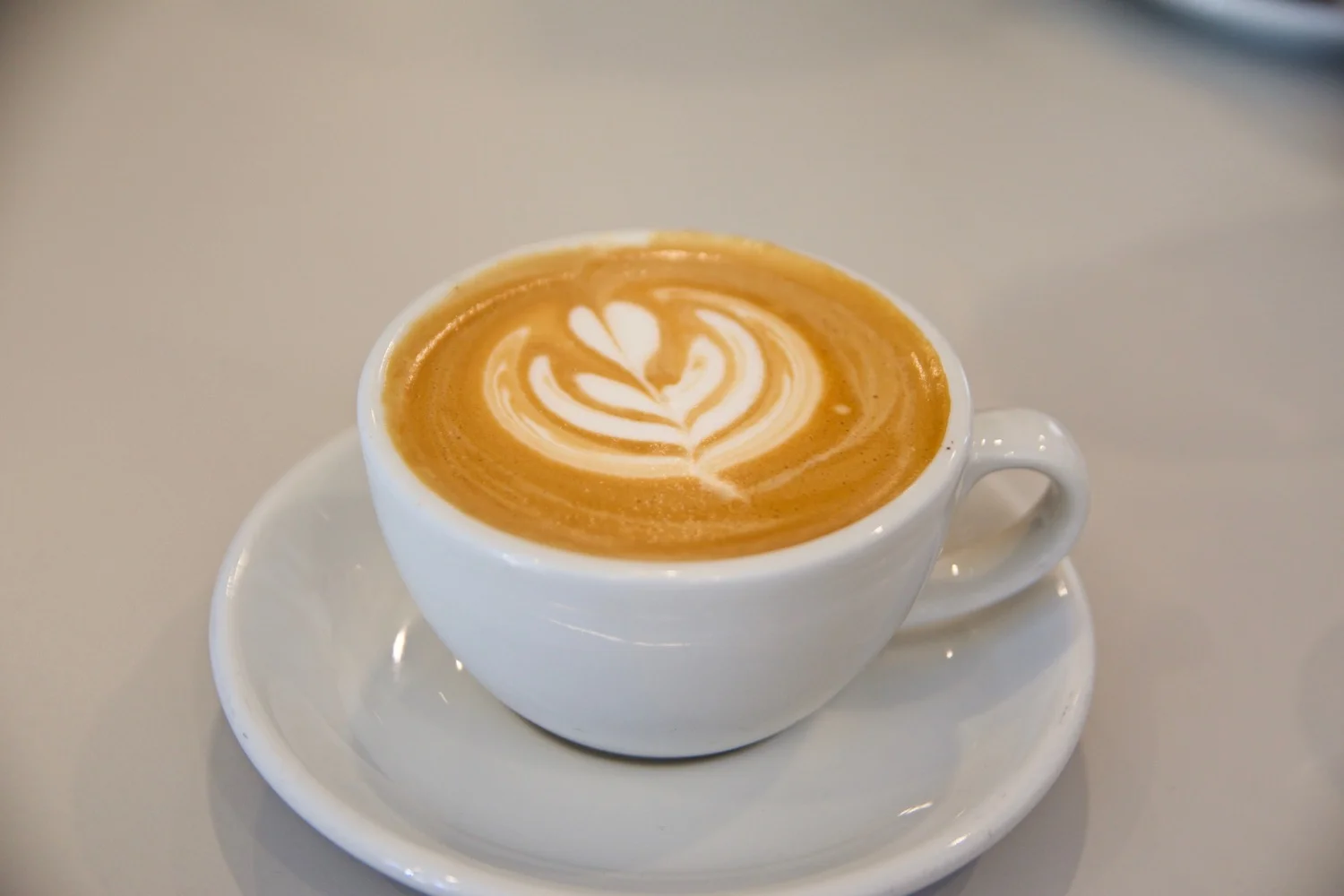 MOM Cafe — Gastrology