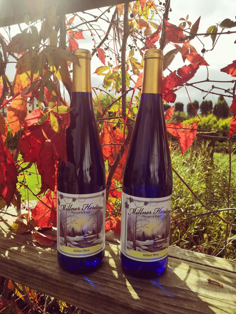 Wines — Millner Heritage Winery