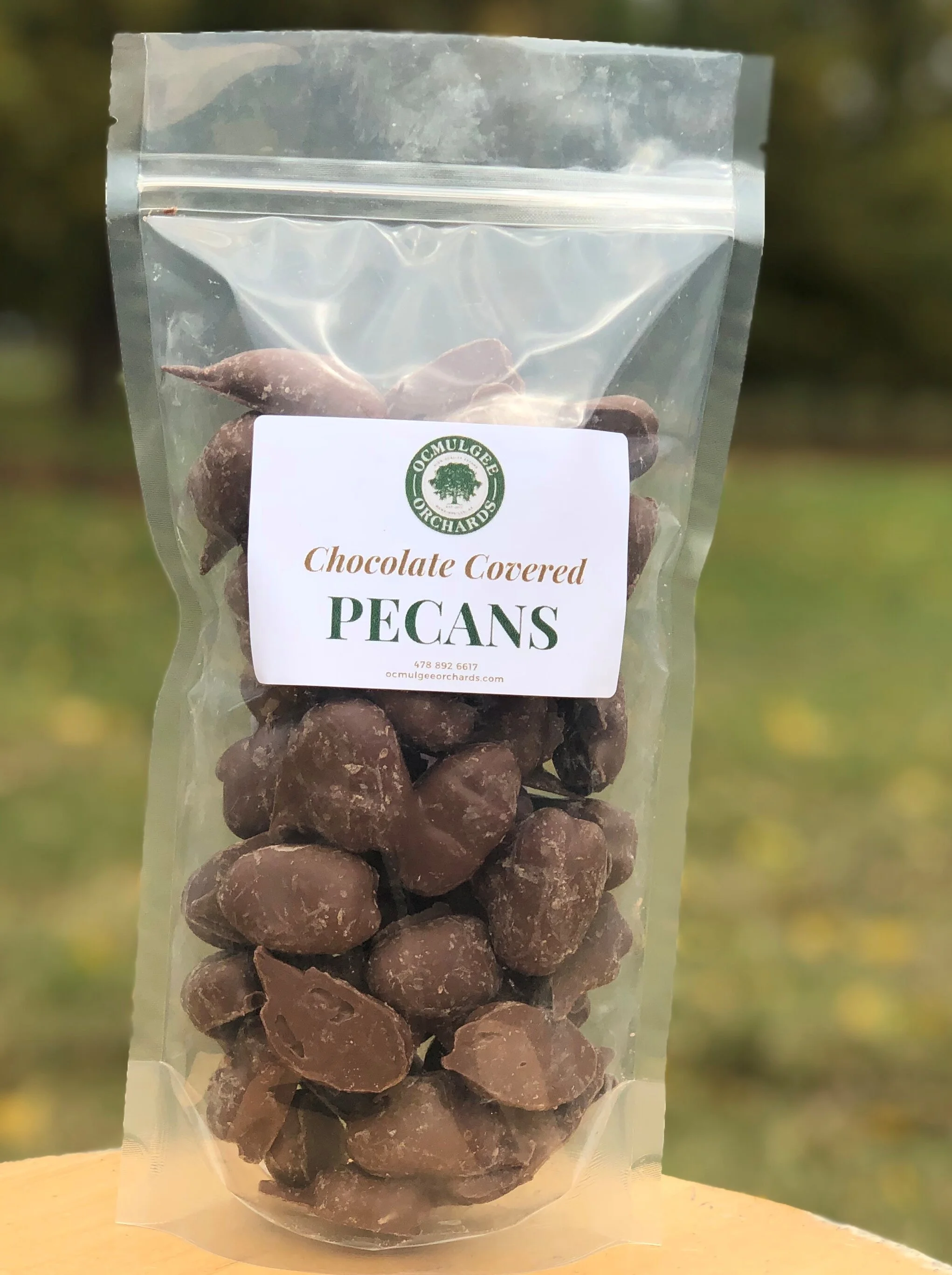 Chocolate Covered Pecans — Ocmulgee Orchards