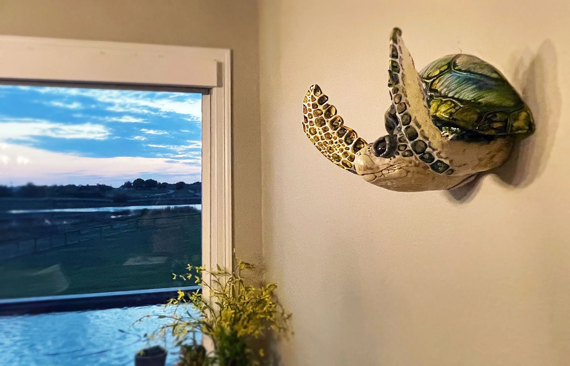 Glen MacInnis Studio