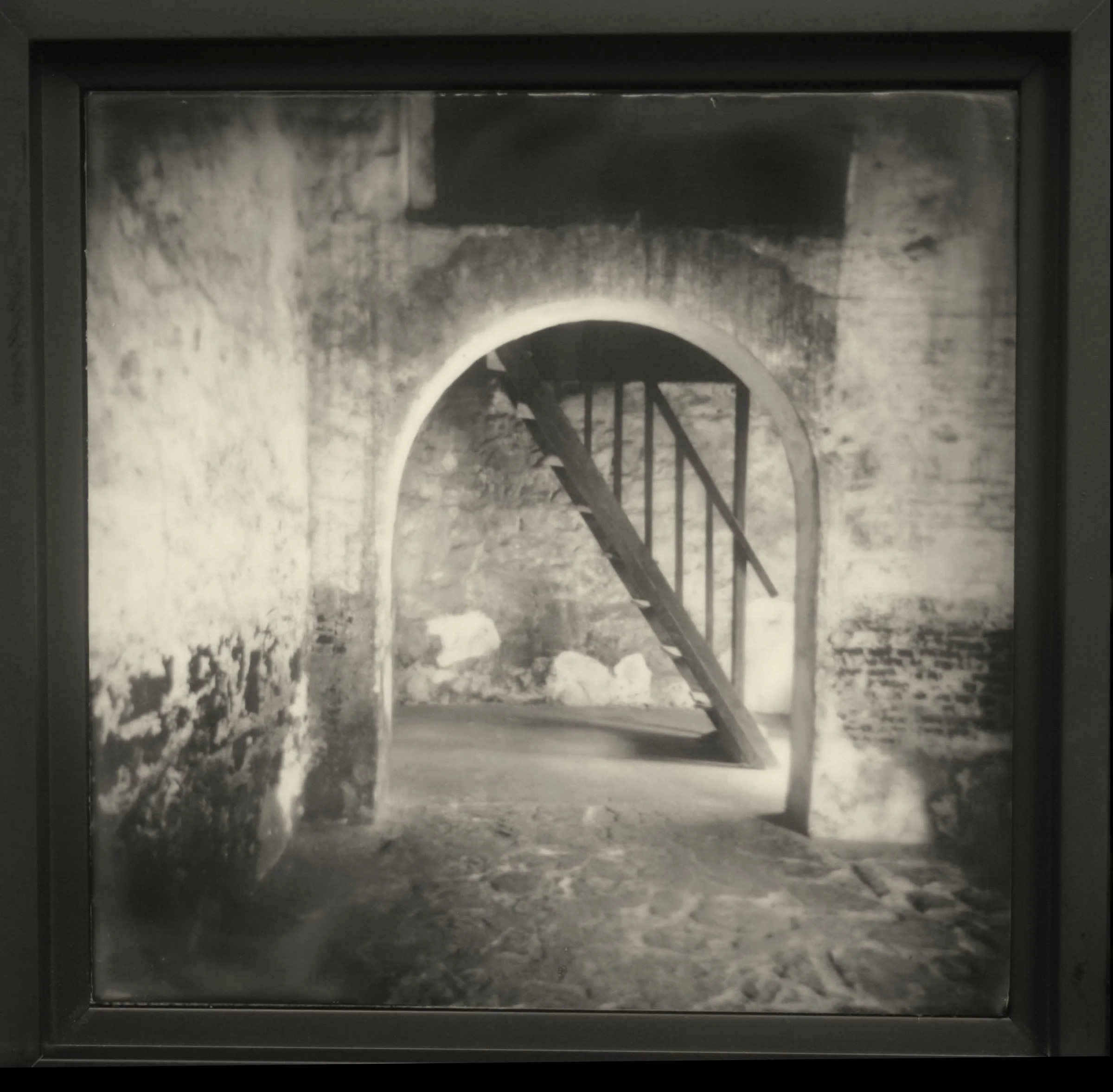 Mourning Light — Jane Fulton Alt