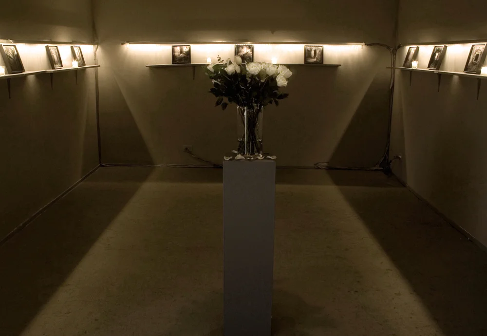 Mourning Light — Jane Fulton Alt