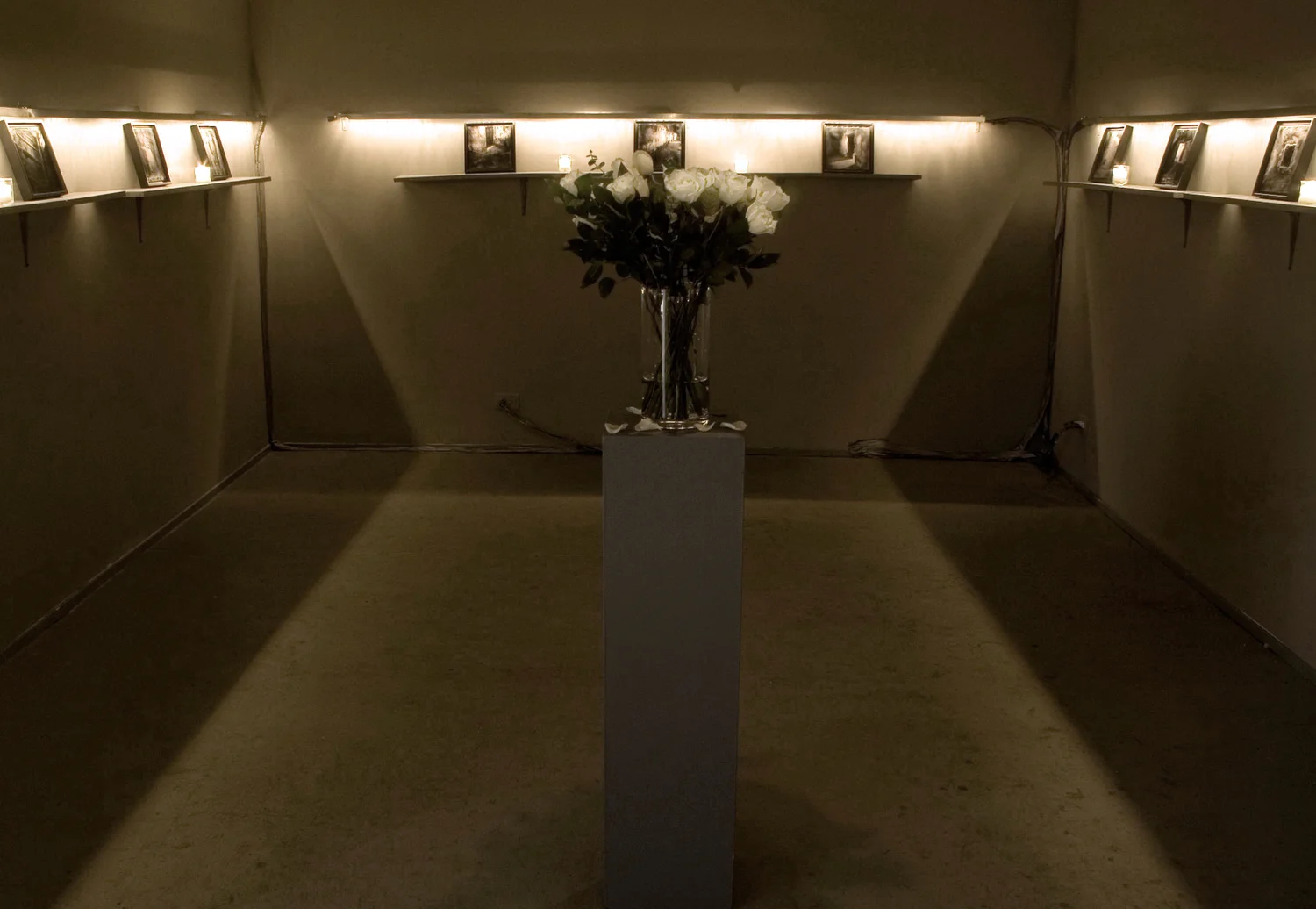 Mourning Light — Jane Fulton Alt