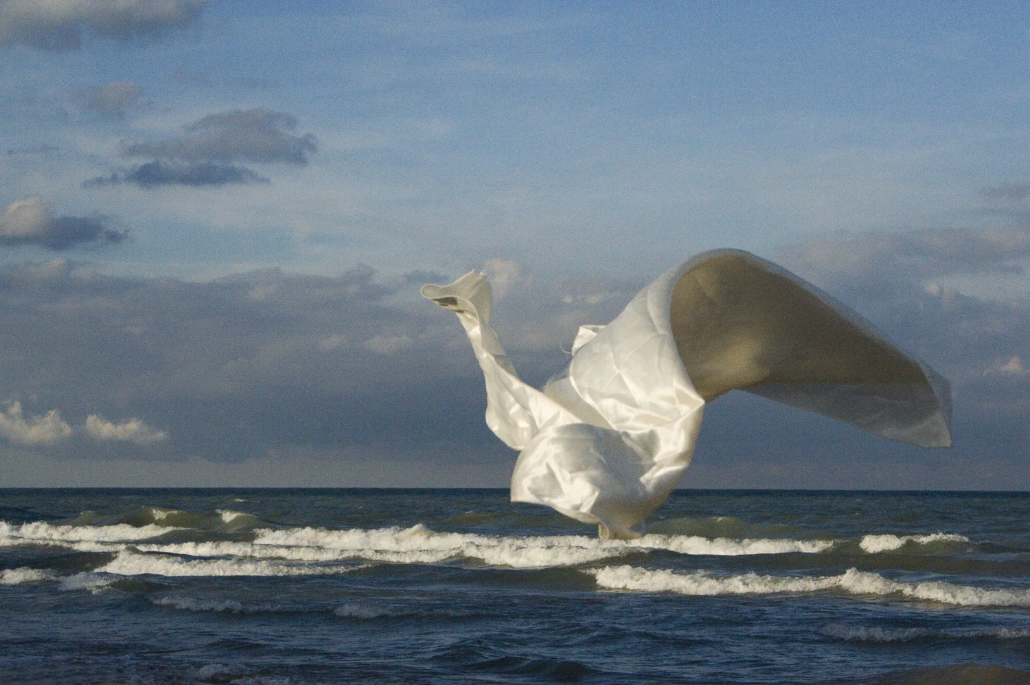 Visitations — Jane Fulton Alt