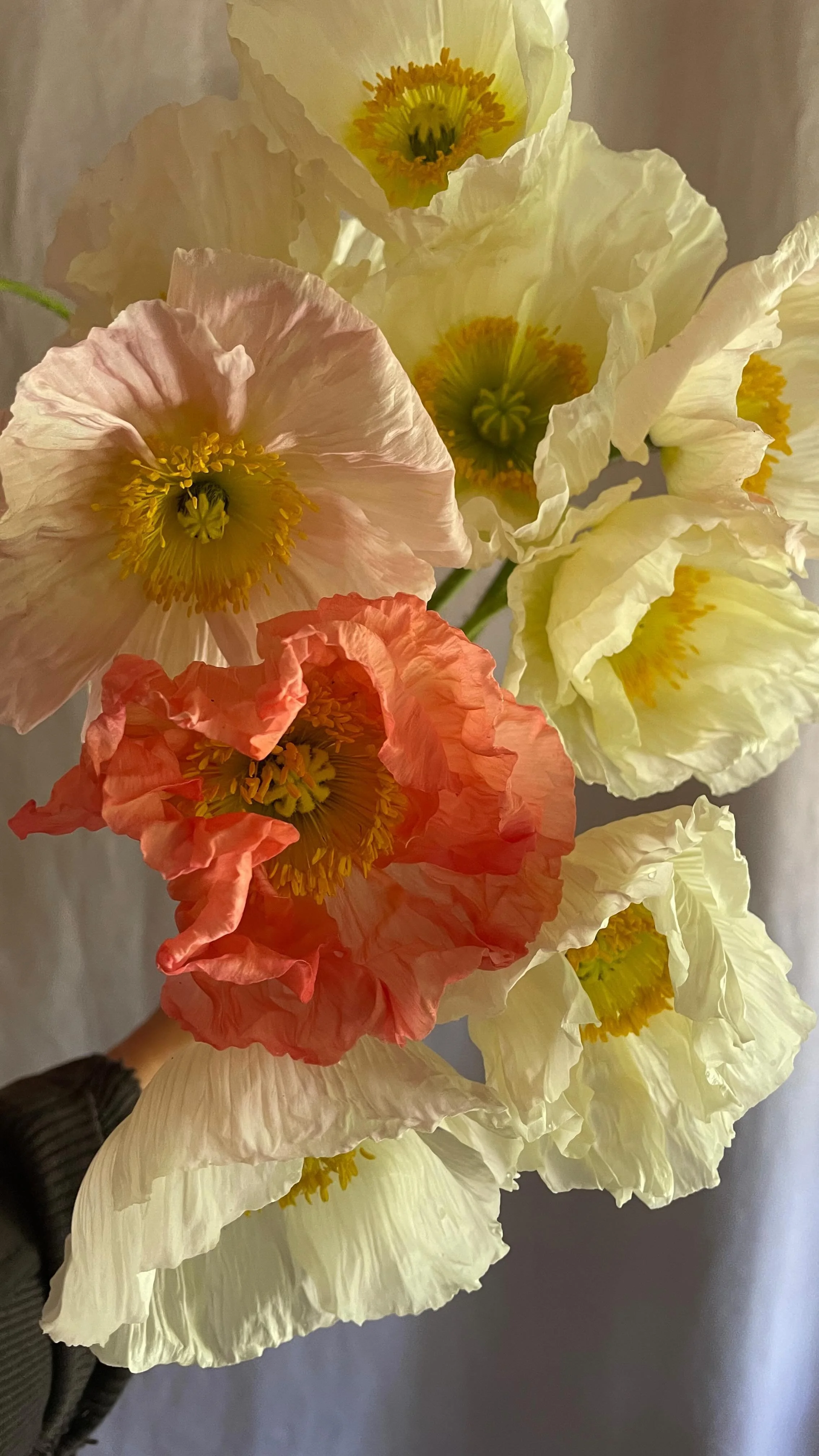 A La Carte Flowers — Lexi Mara