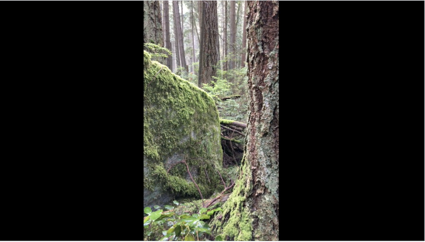 Listen — Anne Bourne