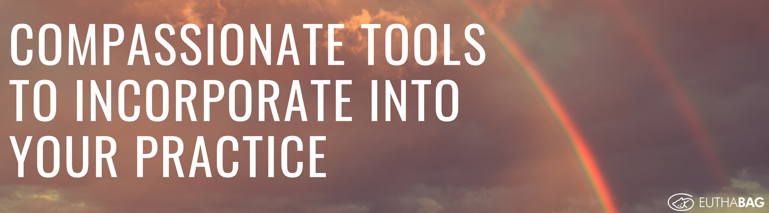 COMPASSIONATE TOOLS FOR YOUR PRACTICE — Euthabag Pet Body Bag