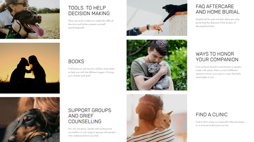 Pet Quality of Life Assessment Calculator. — Euthabag Pet Body Bag