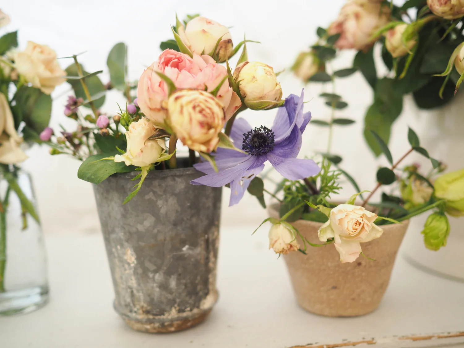 Flowers in the House.... — The Stitchery