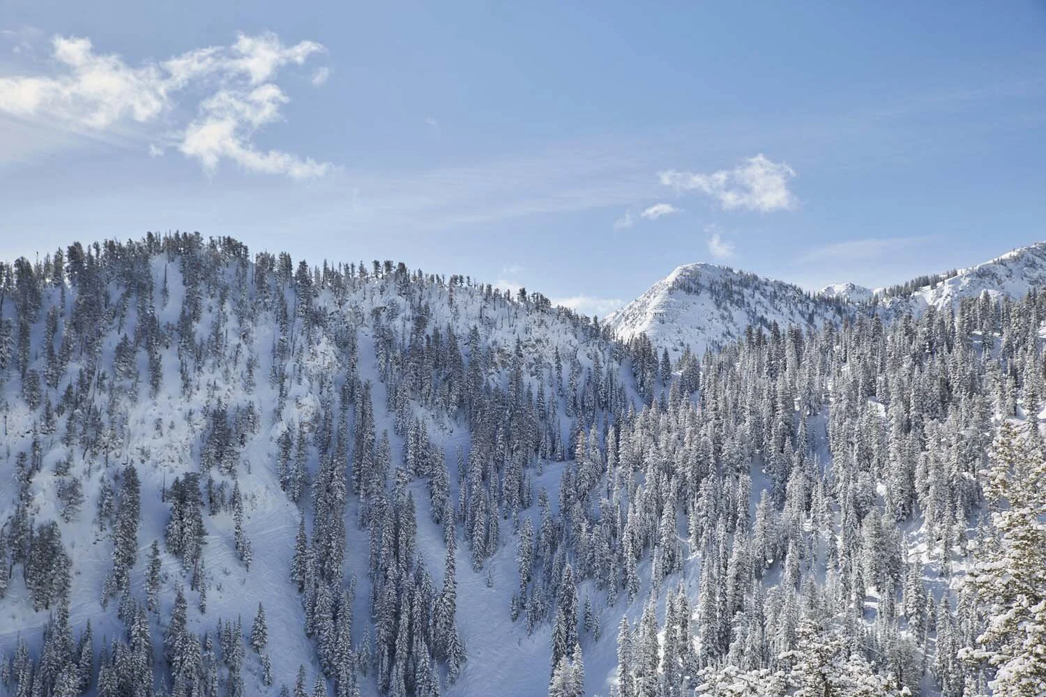 Lifestyle Photographer — Salt Lake City Commercial Photographer