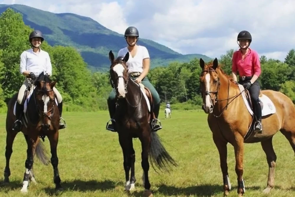 Instruction — Holly Hill Show Stable