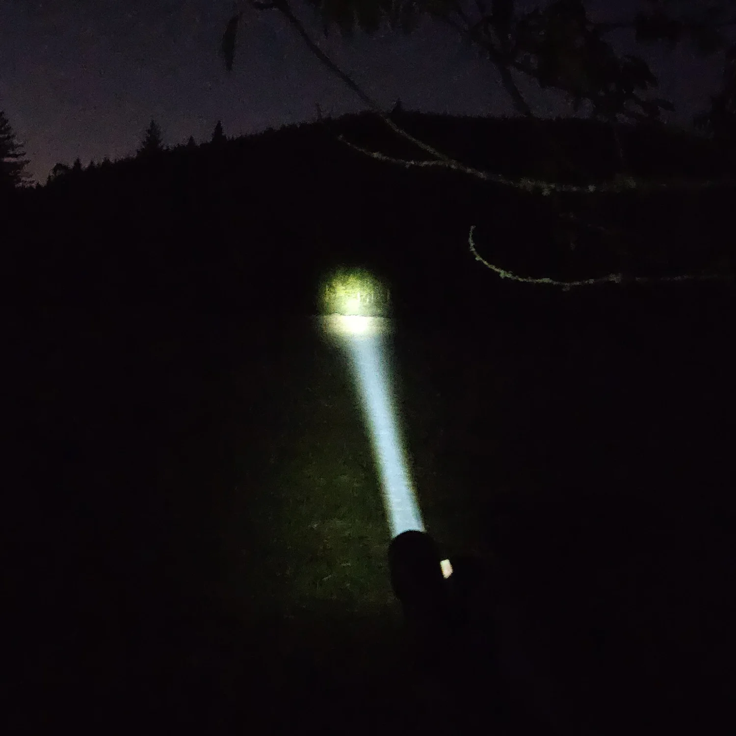 Z-Bolt Blazer LED & LEP lights — Firearms Insider