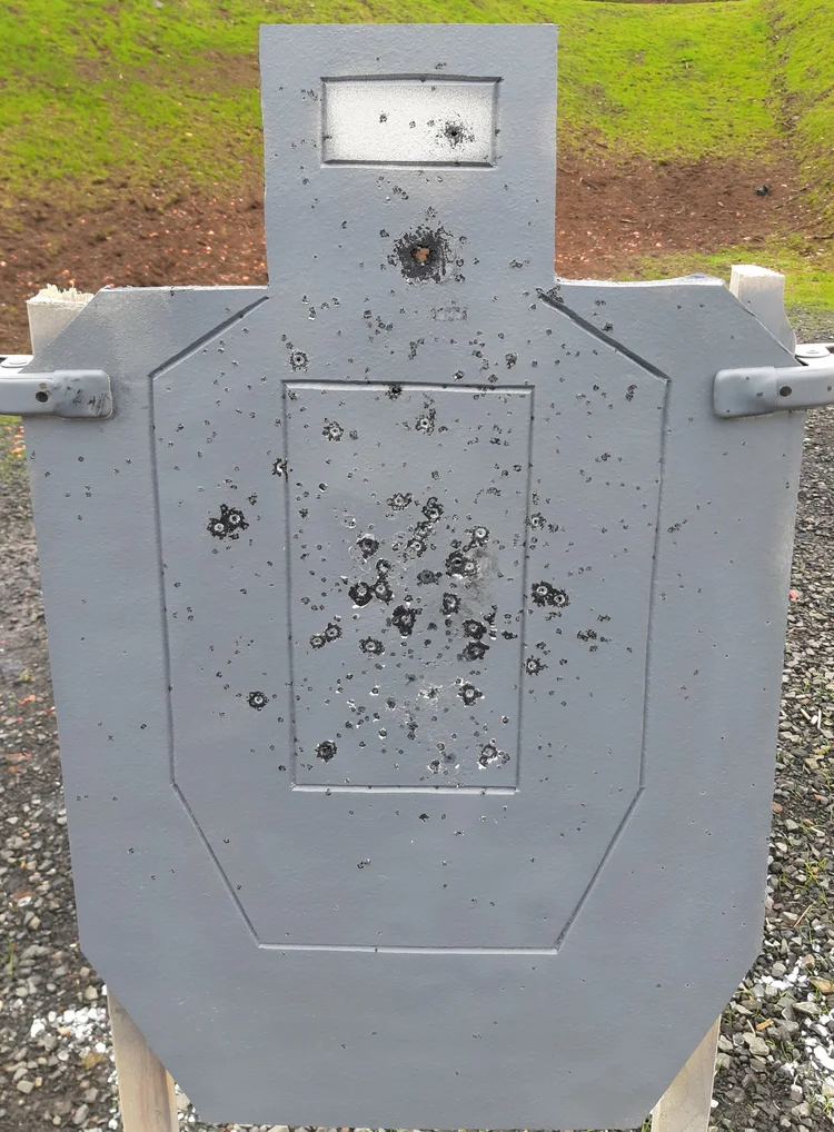 Infinity Target with "zones" — Firearms Insider