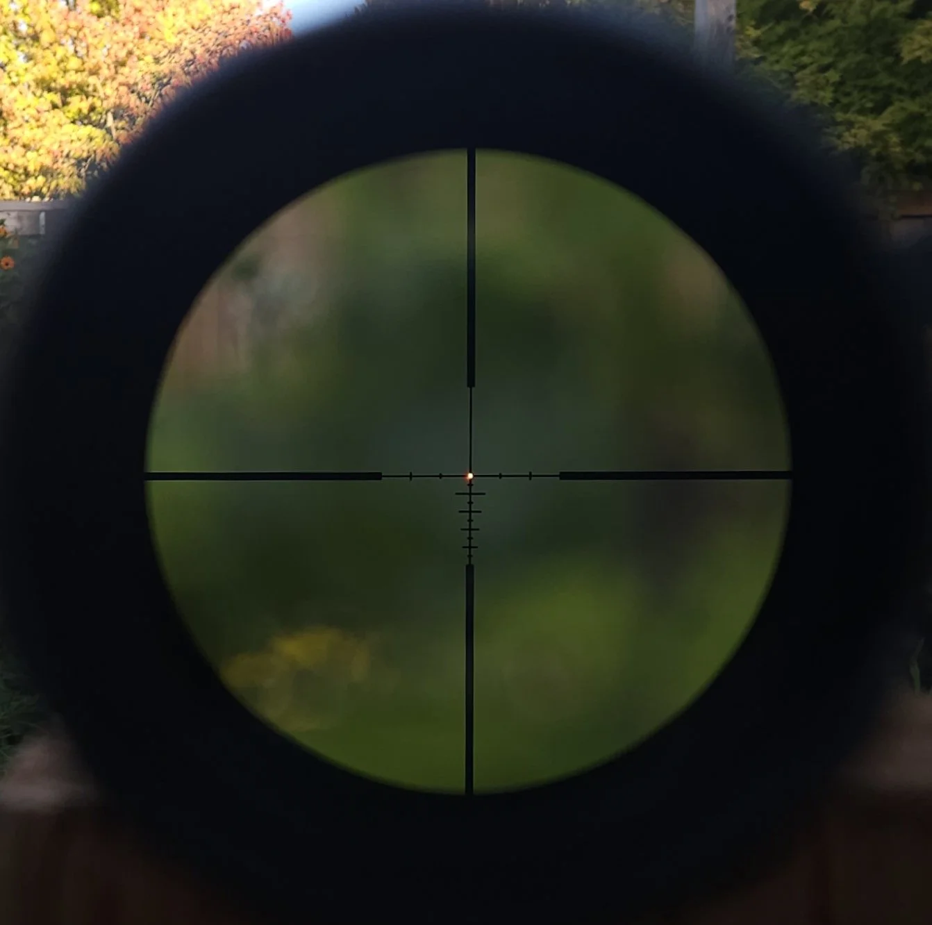 Primary Arms SLx 1-10x28 ACSS NOVA — Firearms Insider