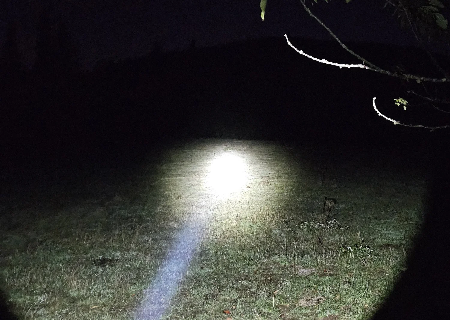 Z-Bolt Blazer LED & LEP lights — Firearms Insider