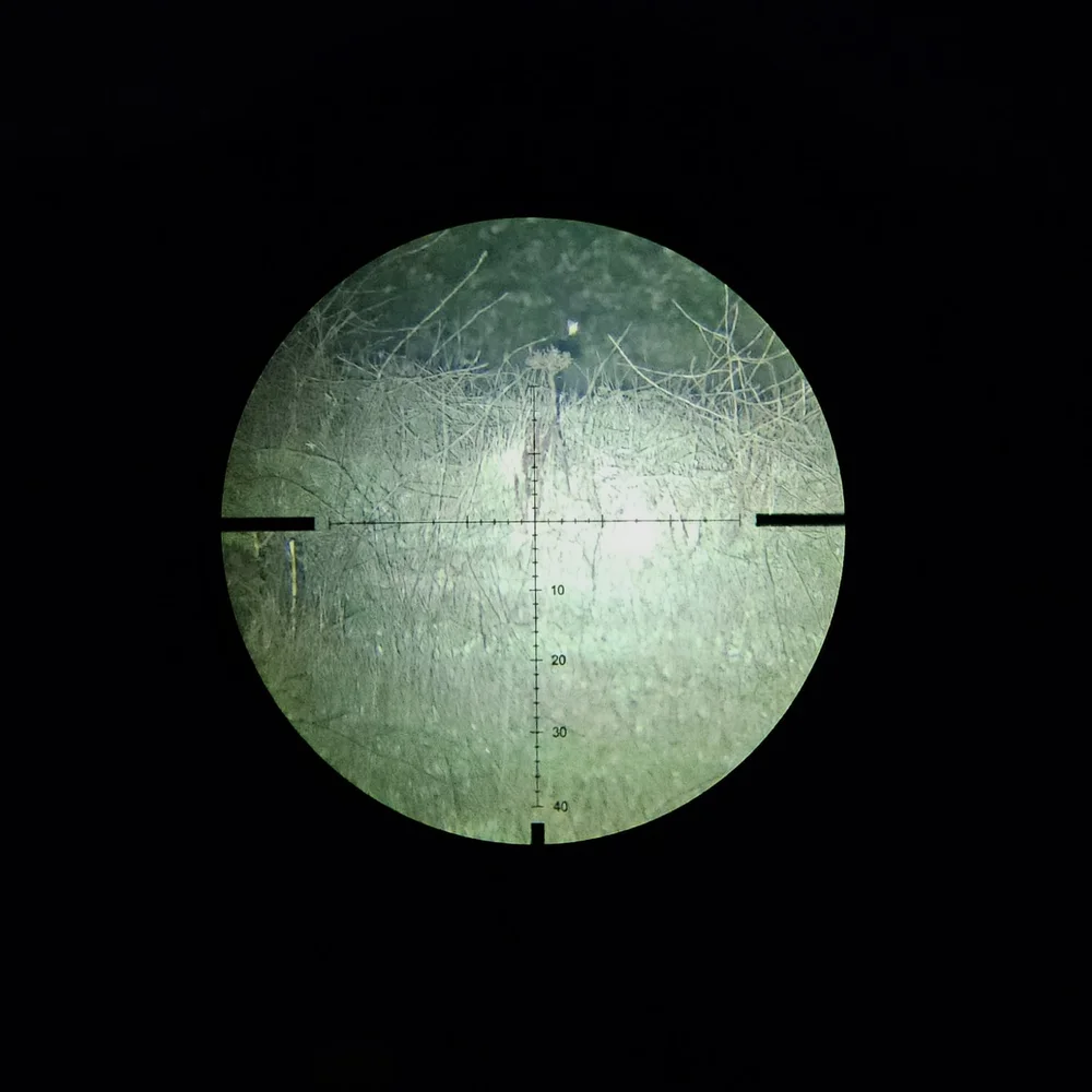 Z-Bolt Blazer LED & LEP lights — Firearms Insider