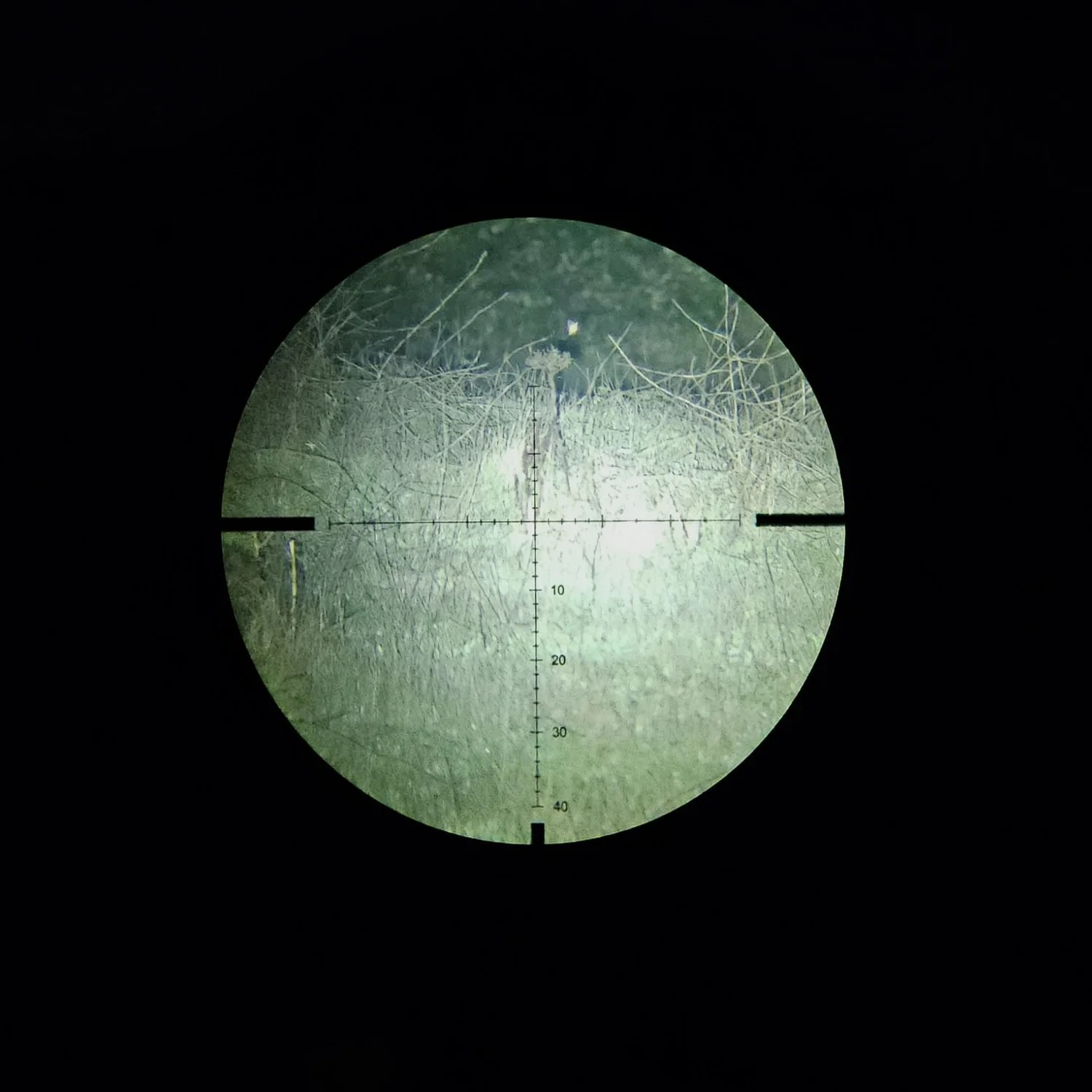 Z-Bolt Blazer LED & LEP lights — Firearms Insider