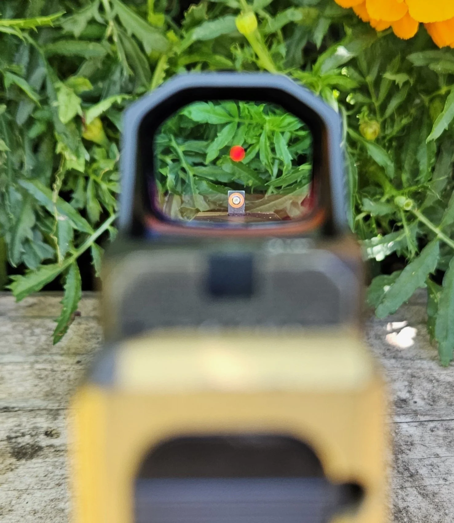 Gideon Optics Judge — Firearms Insider