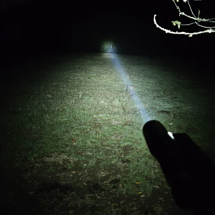 Z-Bolt Blazer LED & LEP lights — Firearms Insider