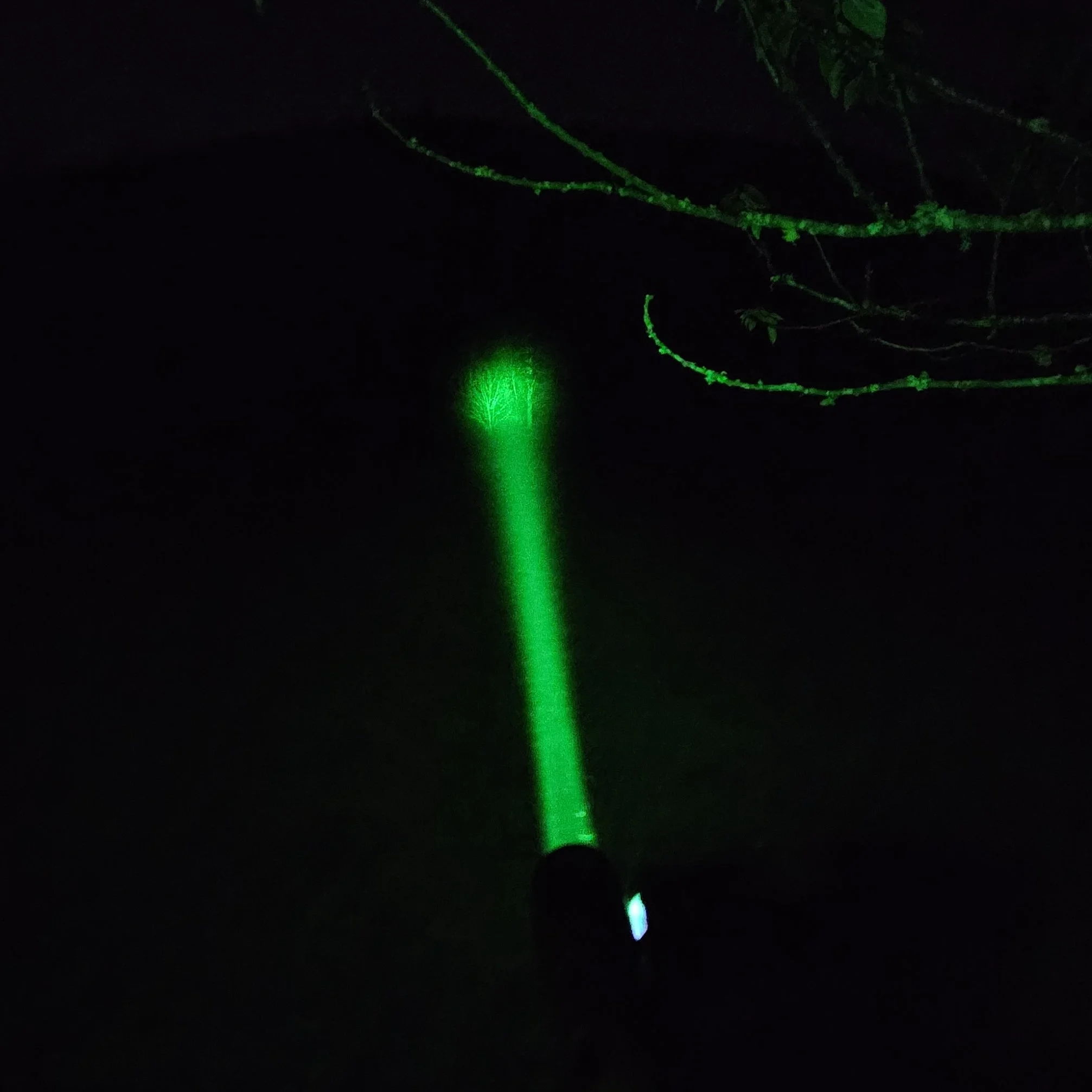 Z-Bolt Blazer LED & LEP lights — Firearms Insider