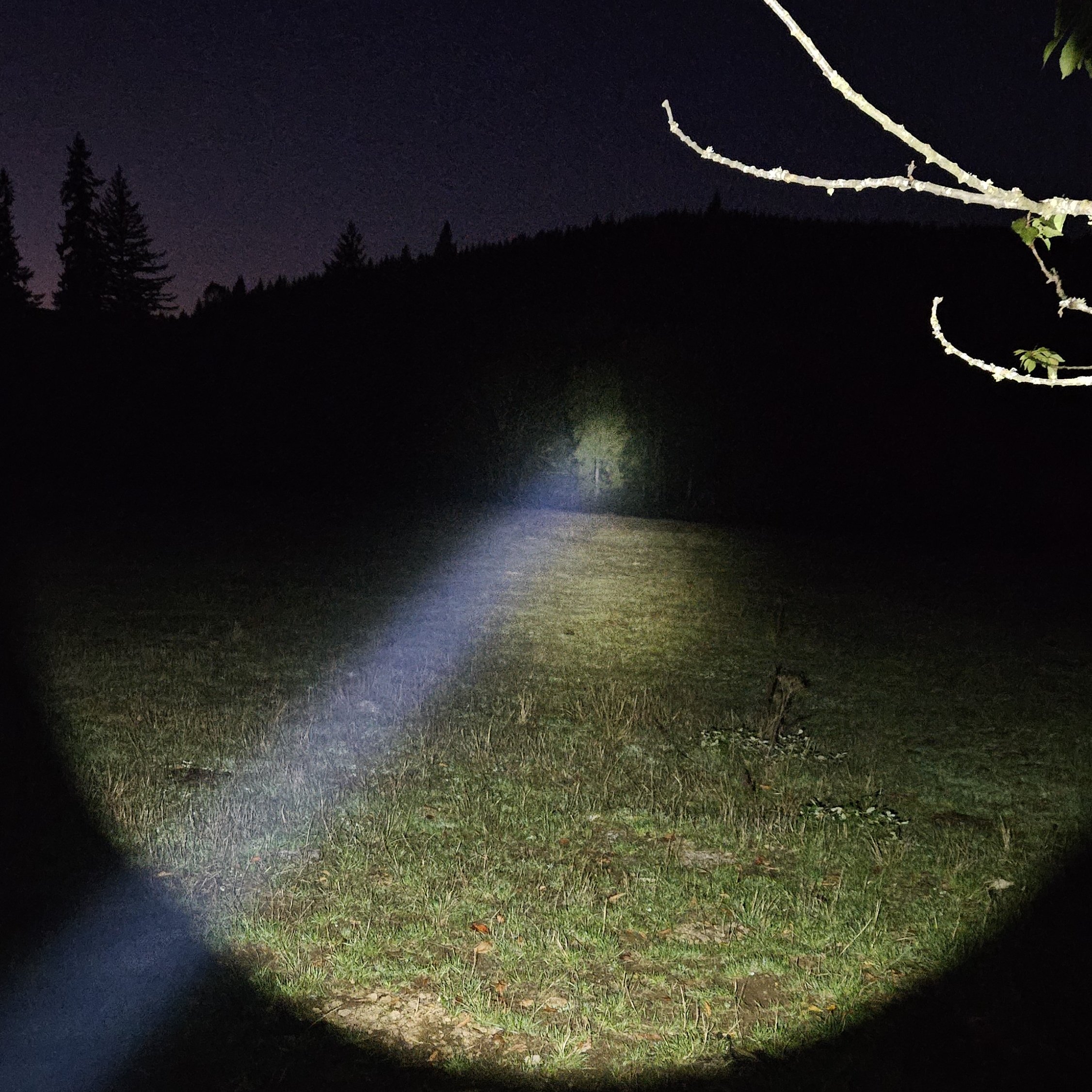 Z-Bolt Blazer LED & LEP lights — Firearms Insider