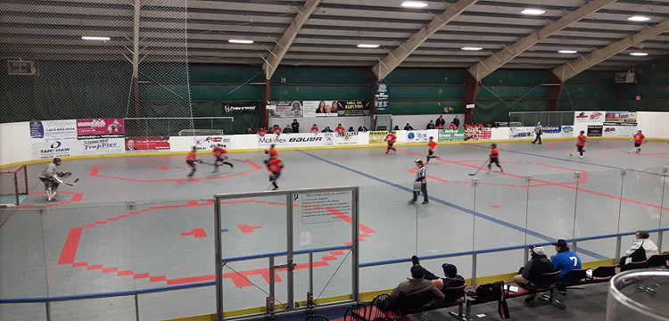 ballhockey.com