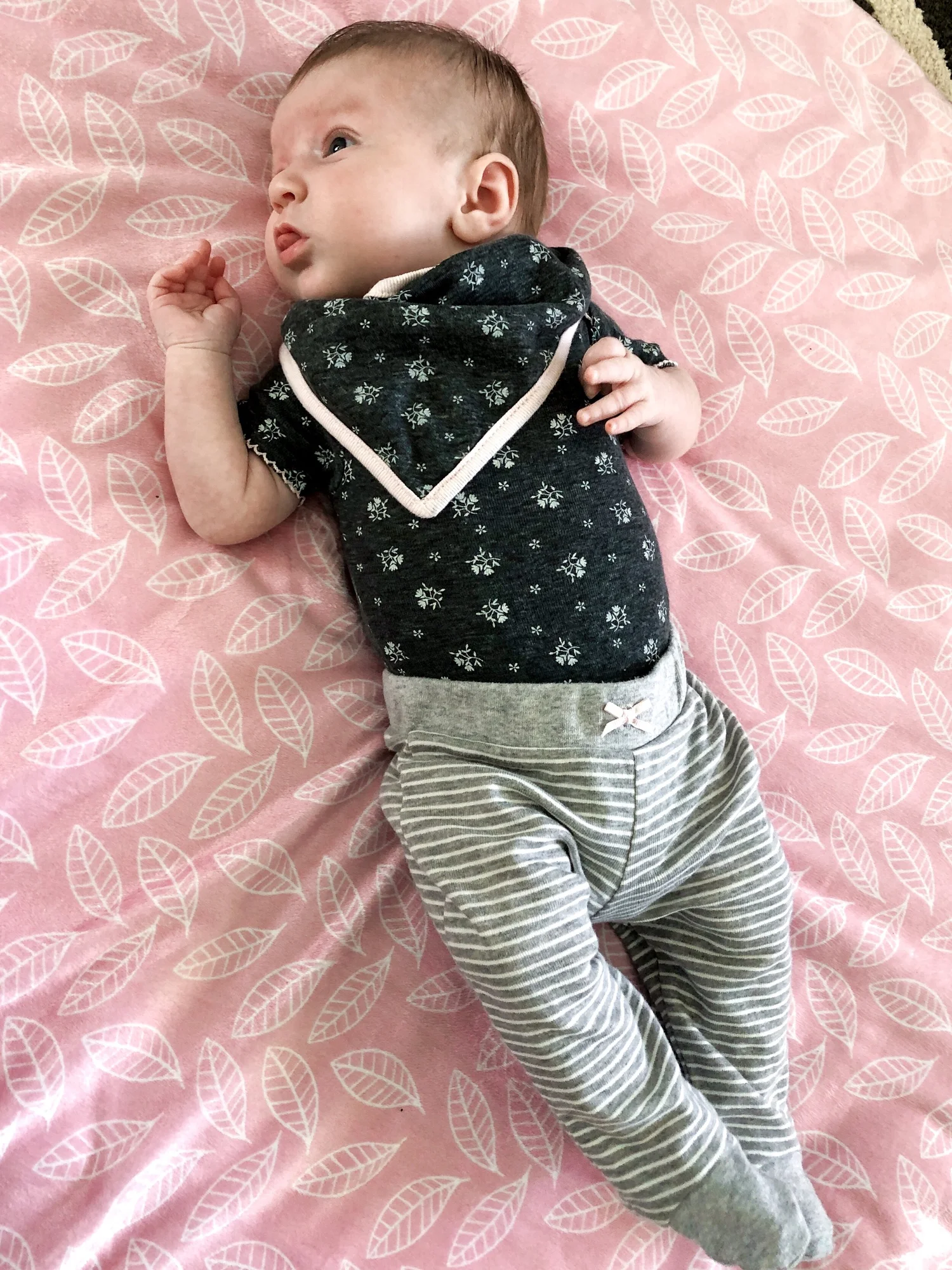 Joey’s 6 Week Update + Schedule — Styled Out West