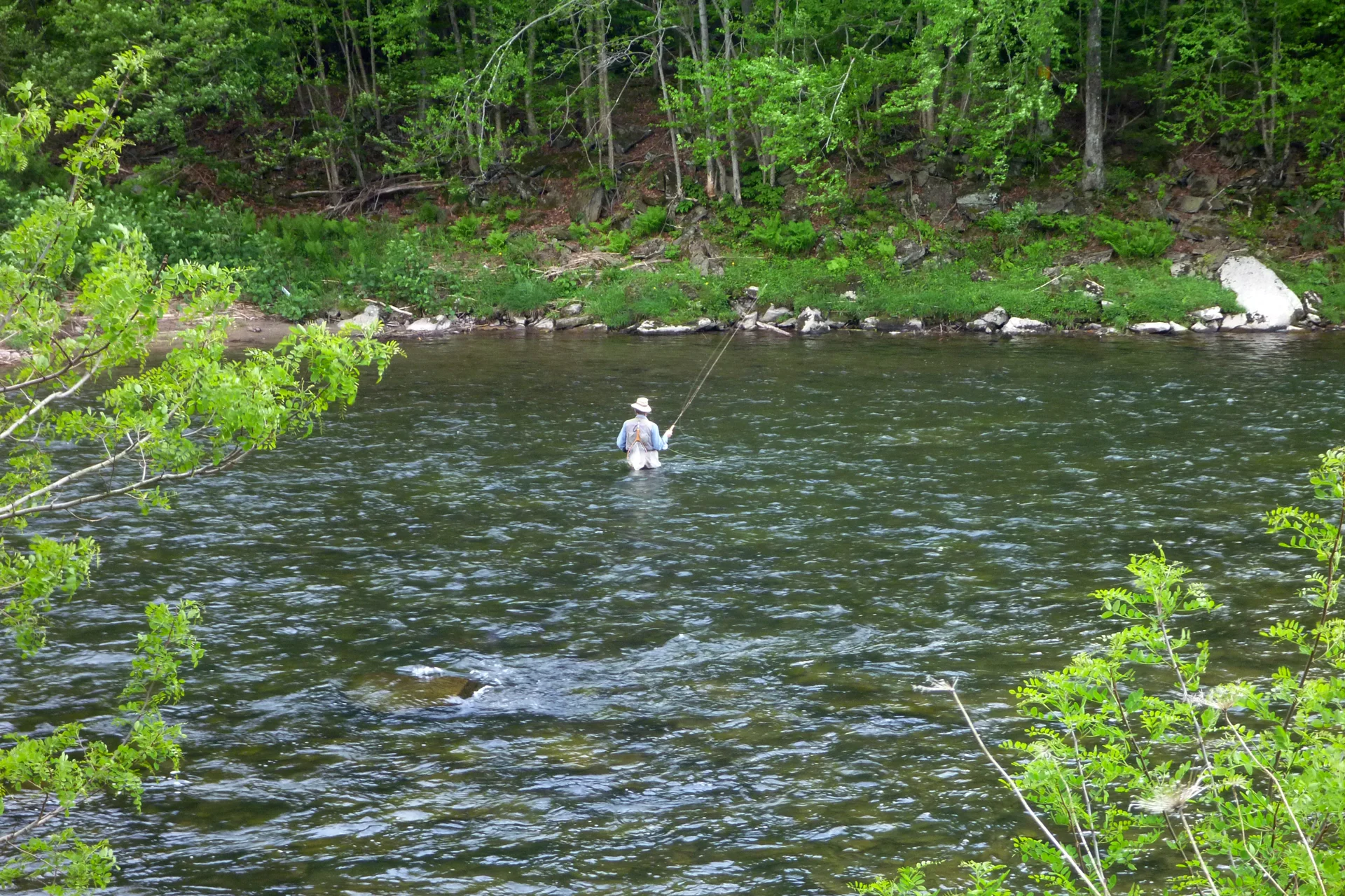 Beaverkill River fishing conditions, tips & geographic info — The ...