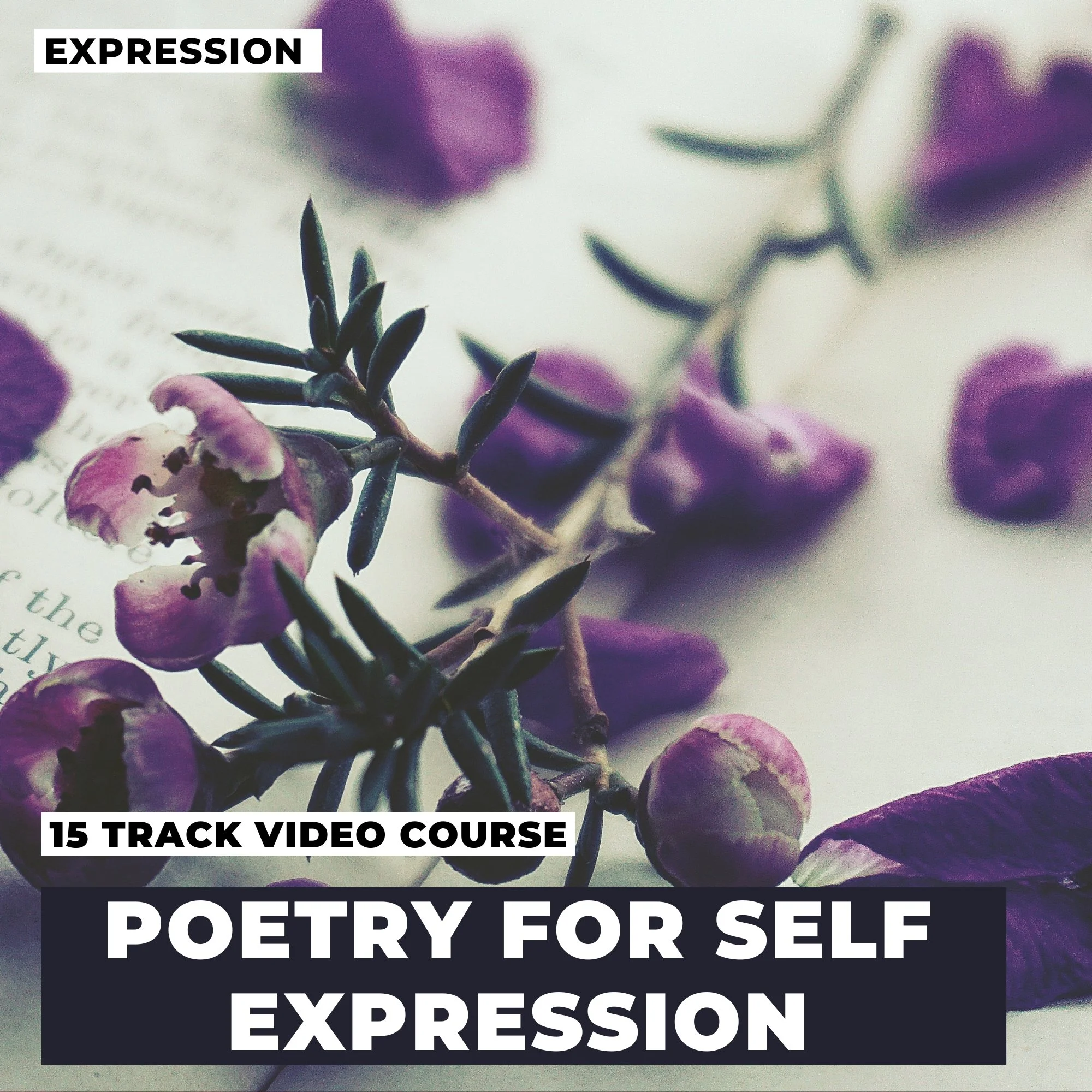 Poetry For Self Expression — ZACHARY PHILLIPS