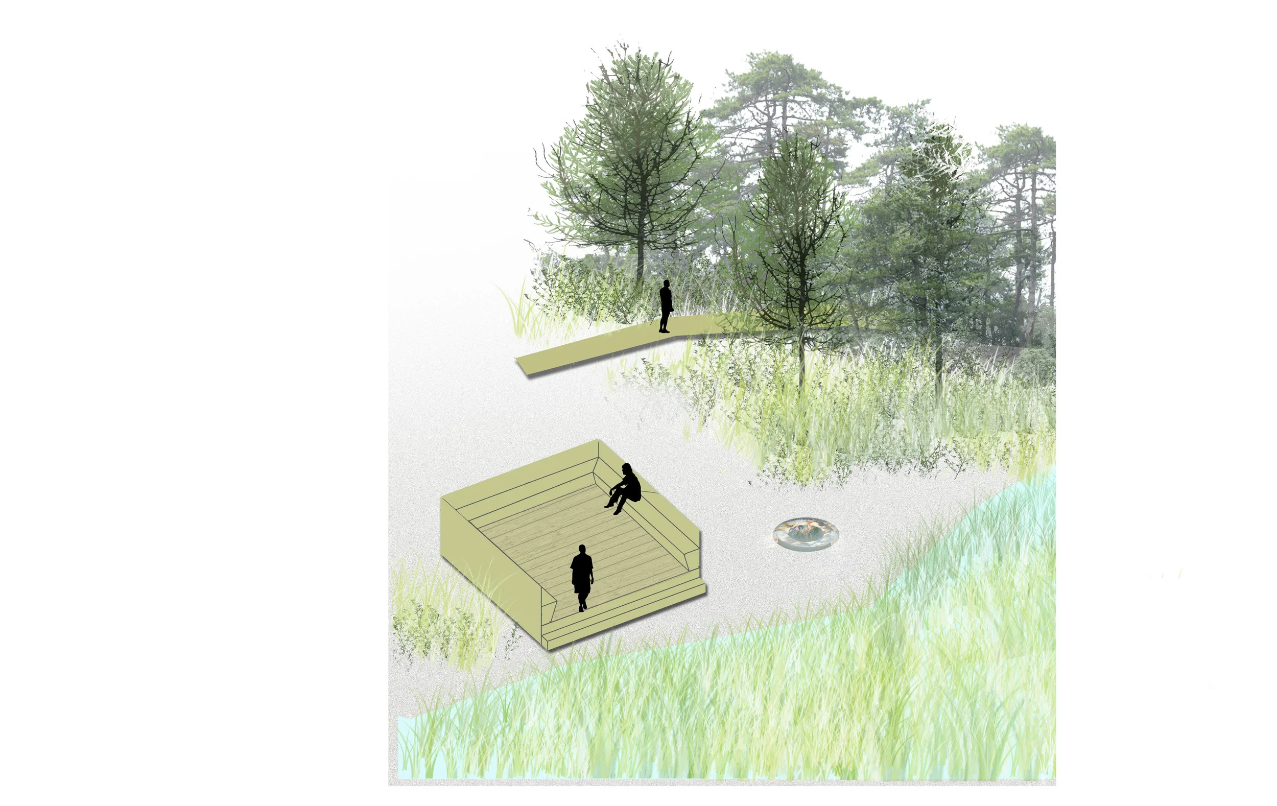 Tully Park — FALON LAND STUDIO