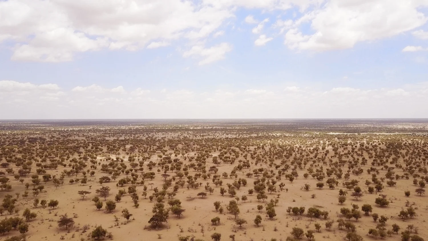 Great Green Wall — HISTORY