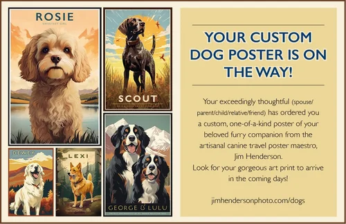 Dog posters — Jim Henderson Photography