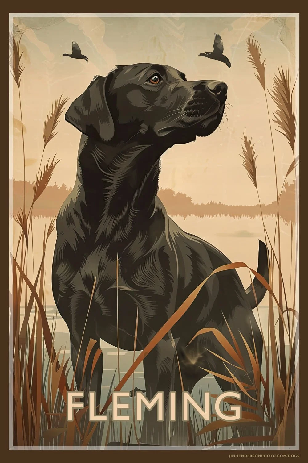 Dog posters — Jim Henderson Photography