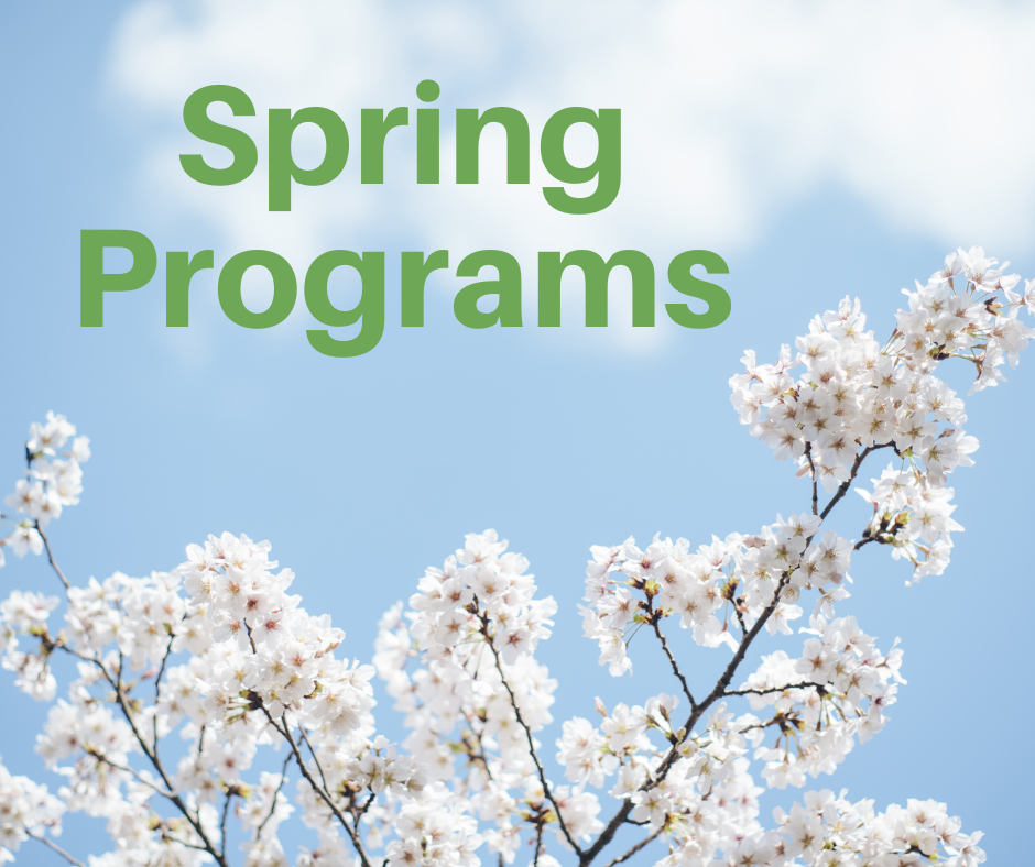 Kids, Tweens & Teens — East Lyme Public Library