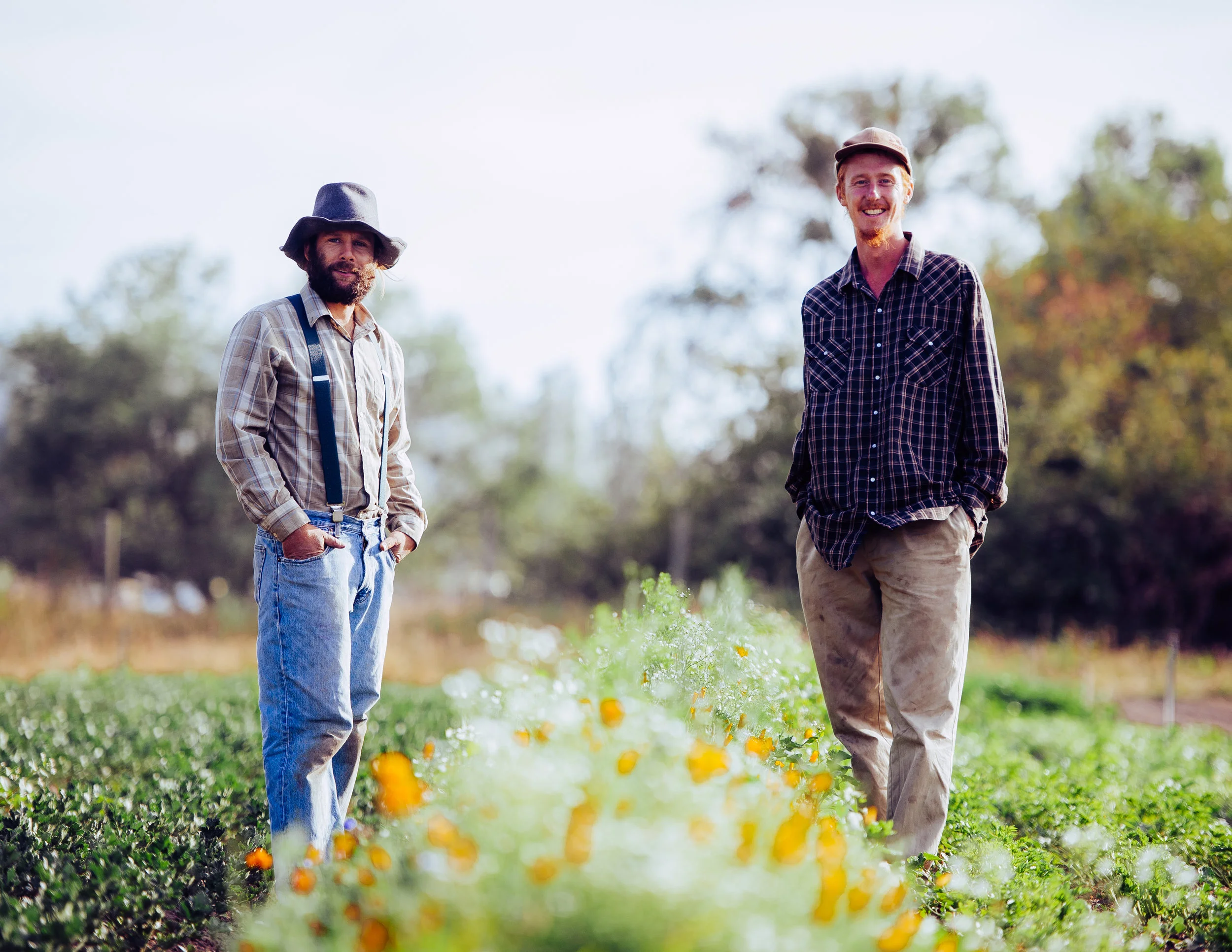 Ryan Power: New Family Farm — Feeder