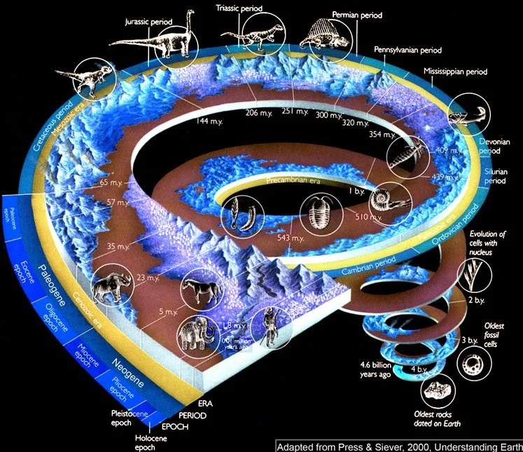 Guidance — Stillpoint: Sacred Geometry & The Evolution of Consciousness