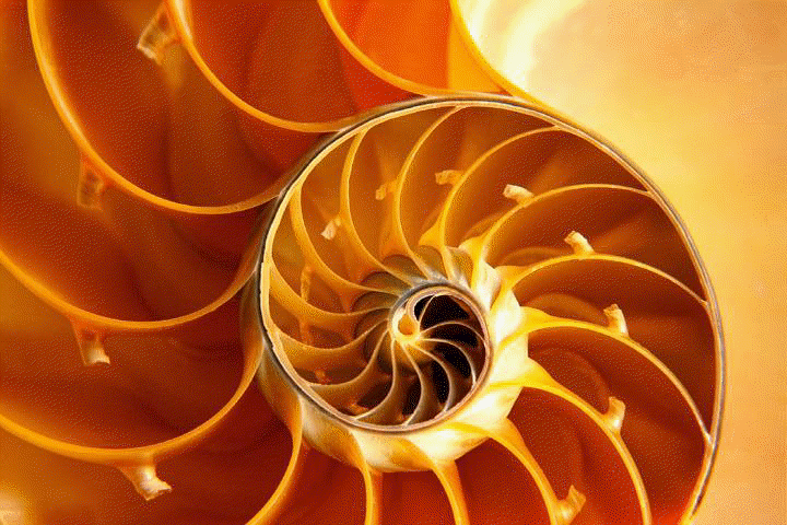 Infinite Universe...Finite Planet: Global Crisis Revealed — Stillpoint ...