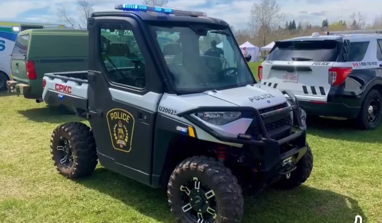 Cars — The Railroad Police