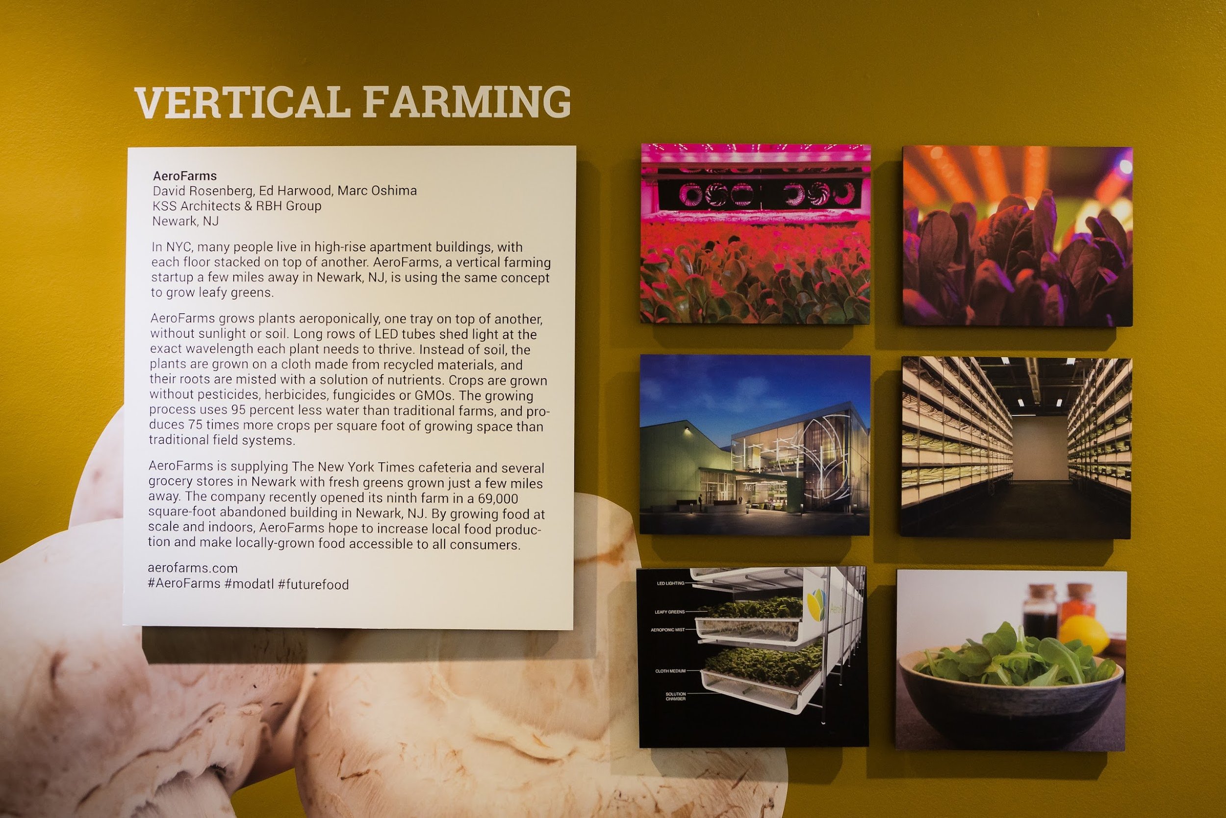 MODA — Food by Design: Sustaining the Future