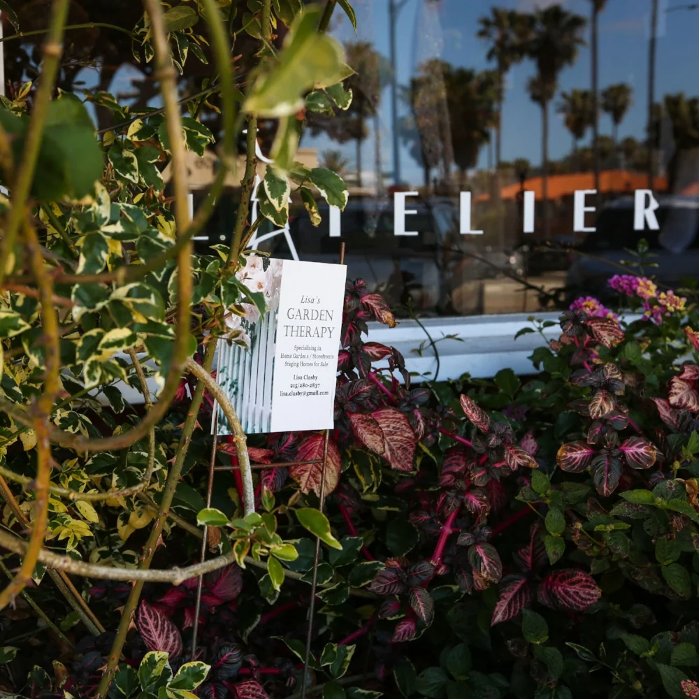 Storefronts. Entice customers inside. — Lisa's Garden Therapy