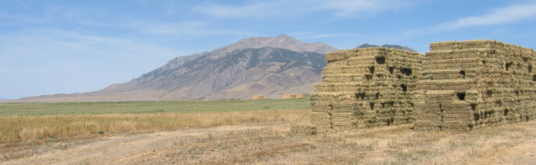 NWFFS FAQs — Invasive Species of Idaho