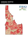 Canada Thistle Factsheet — Invasive Species of Idaho