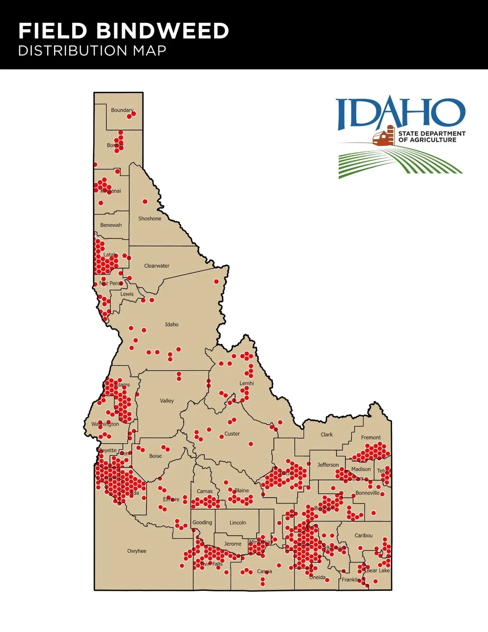 Field Bindweed Factsheet — Invasive Species of Idaho