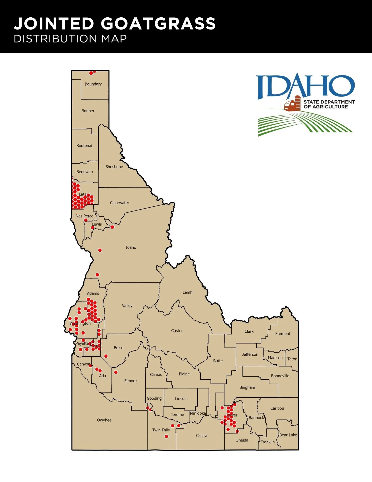Jointed Goatgrass Factsheet — Invasive Species of Idaho