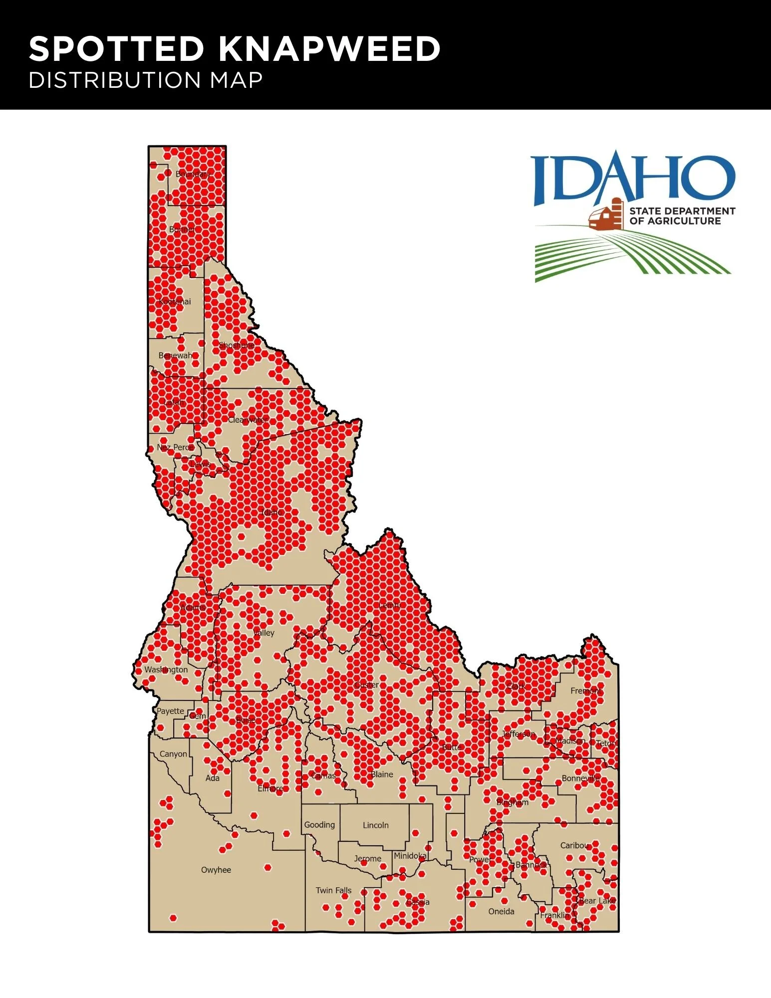 Spotted Knapweed Factsheet — Invasive Species of Idaho