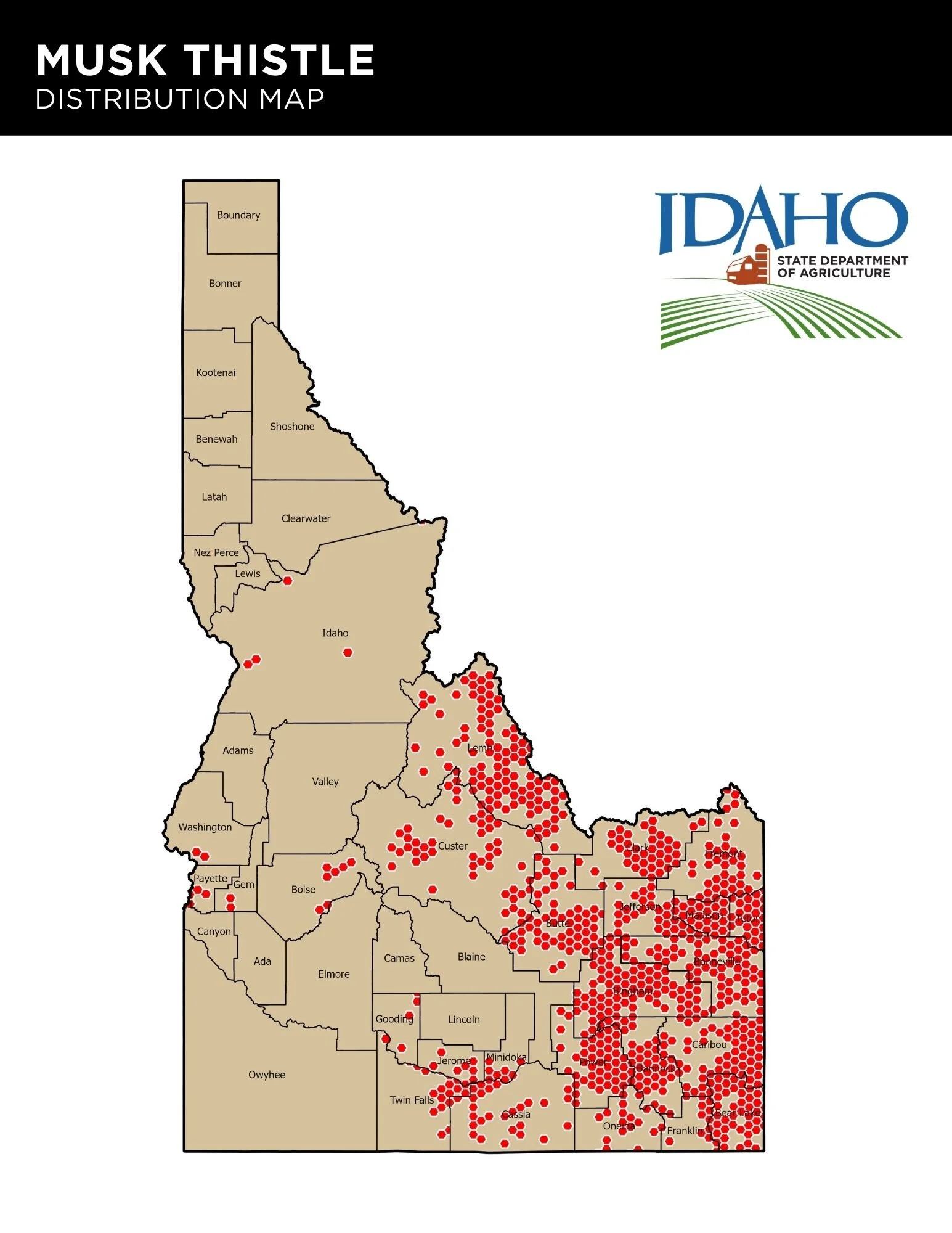 Musk Thistle Factsheet — Invasive Species of Idaho